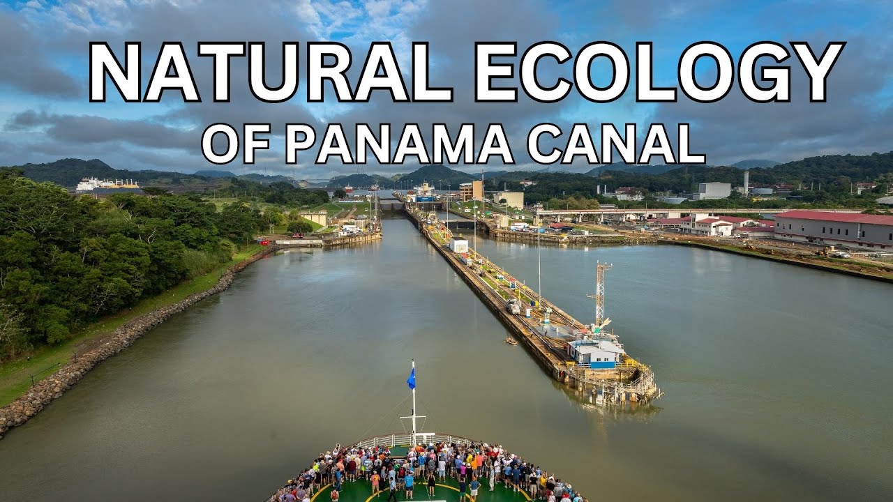Natural Ecology of Panama Canal || World Environmental Protection ...