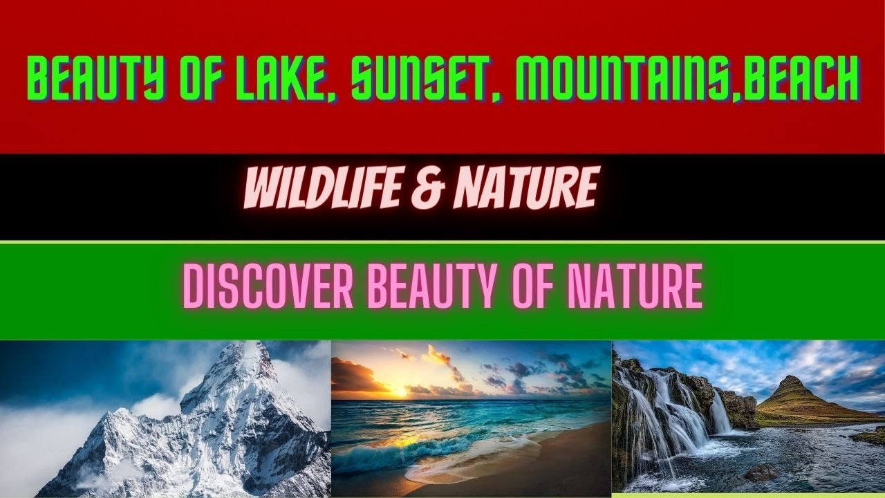 life living and nature | Amazing Beautiful nature with Relaxing Music ...
