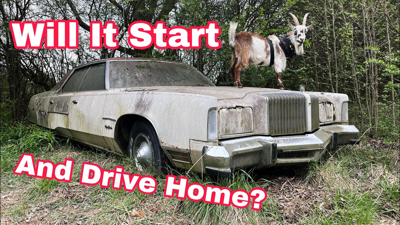 Big Block Bro-Ham! Ant Infested Unsellable Luxury Car! Will It Run and ...