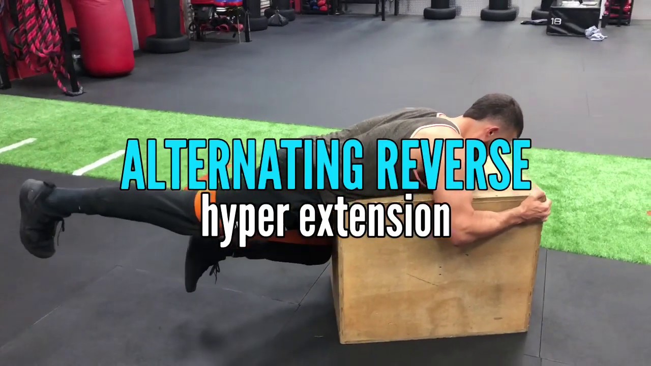ALTERNATING REVERSE HYPER EXTENSION - your out of the box (or on the box) glute killer! - YouTube
