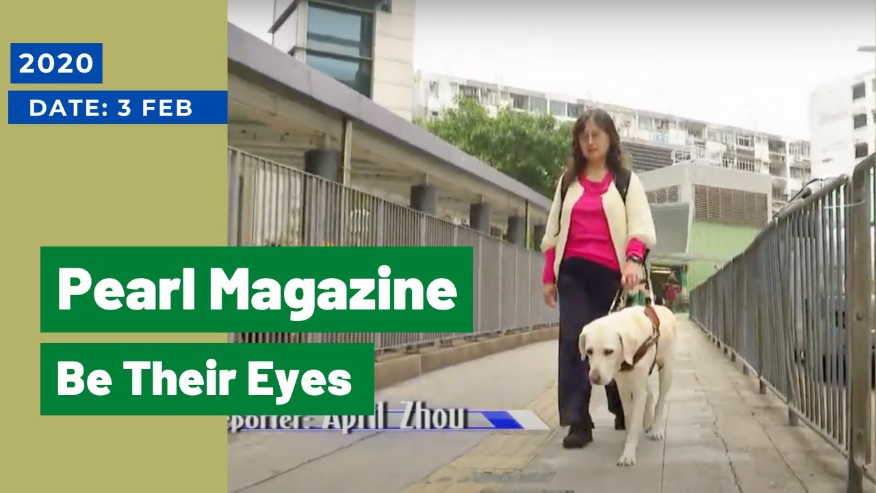 Be Their Eyes | Pearl Magazine 5/50 | Hong Kong News | TVB 2020 - YouTube