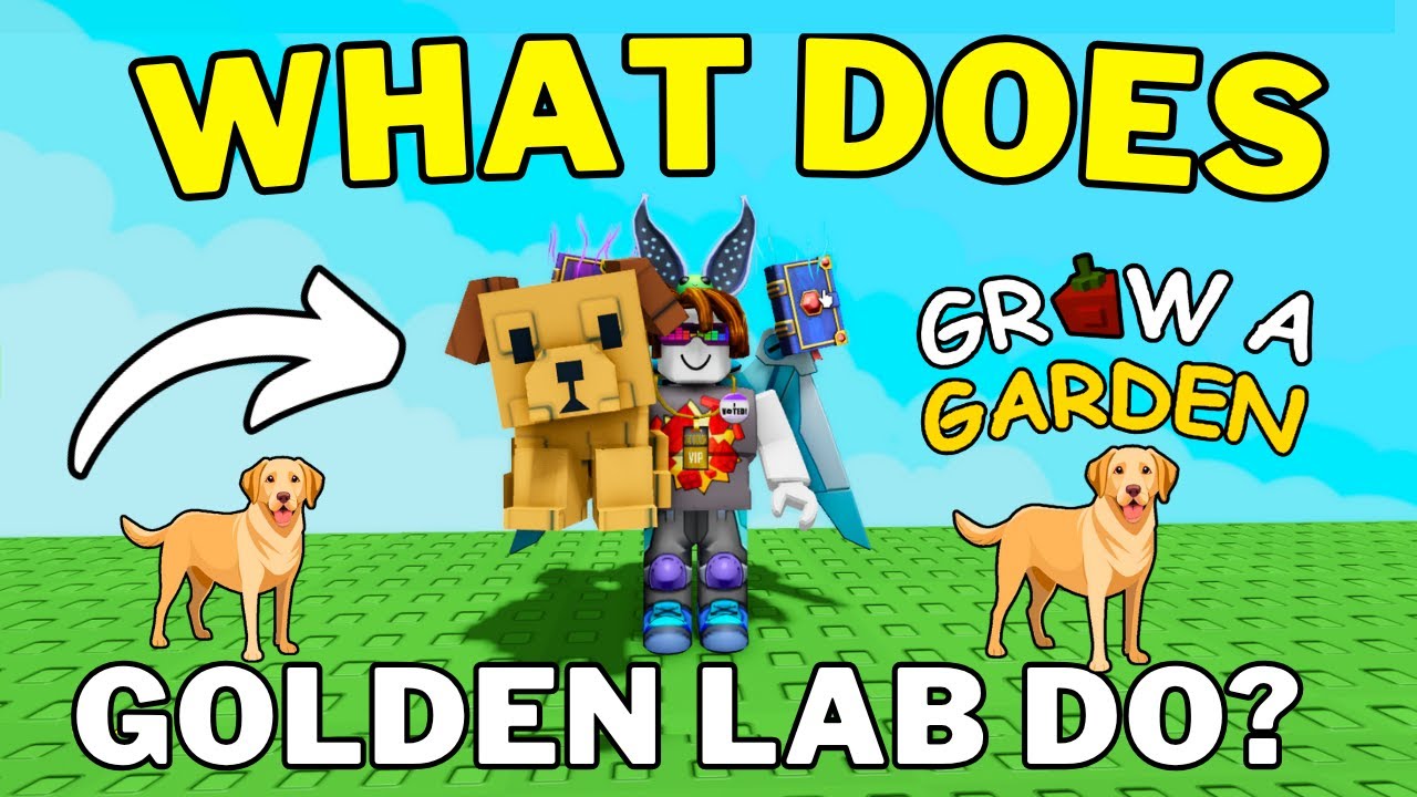 How To Get Golden Lab in Grow a Garden | What Does Golden Lab Do in ...