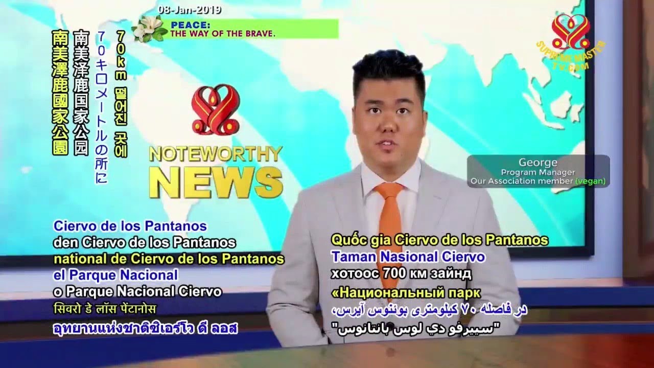 SupremeMasterTV LIVE 2019 01 08 - YouTube