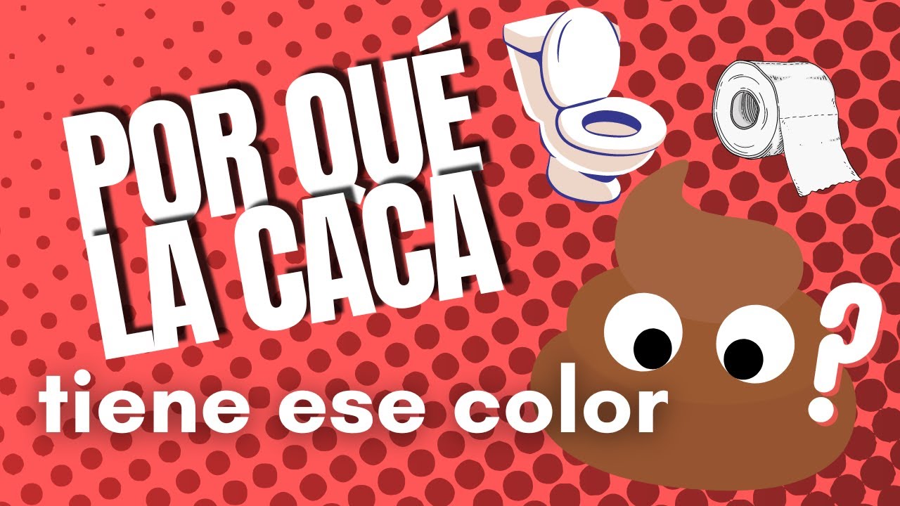 💩 Lo que no sabías sobre el COLOR de las HECES | ¿POR QUÉ la CACA es ...