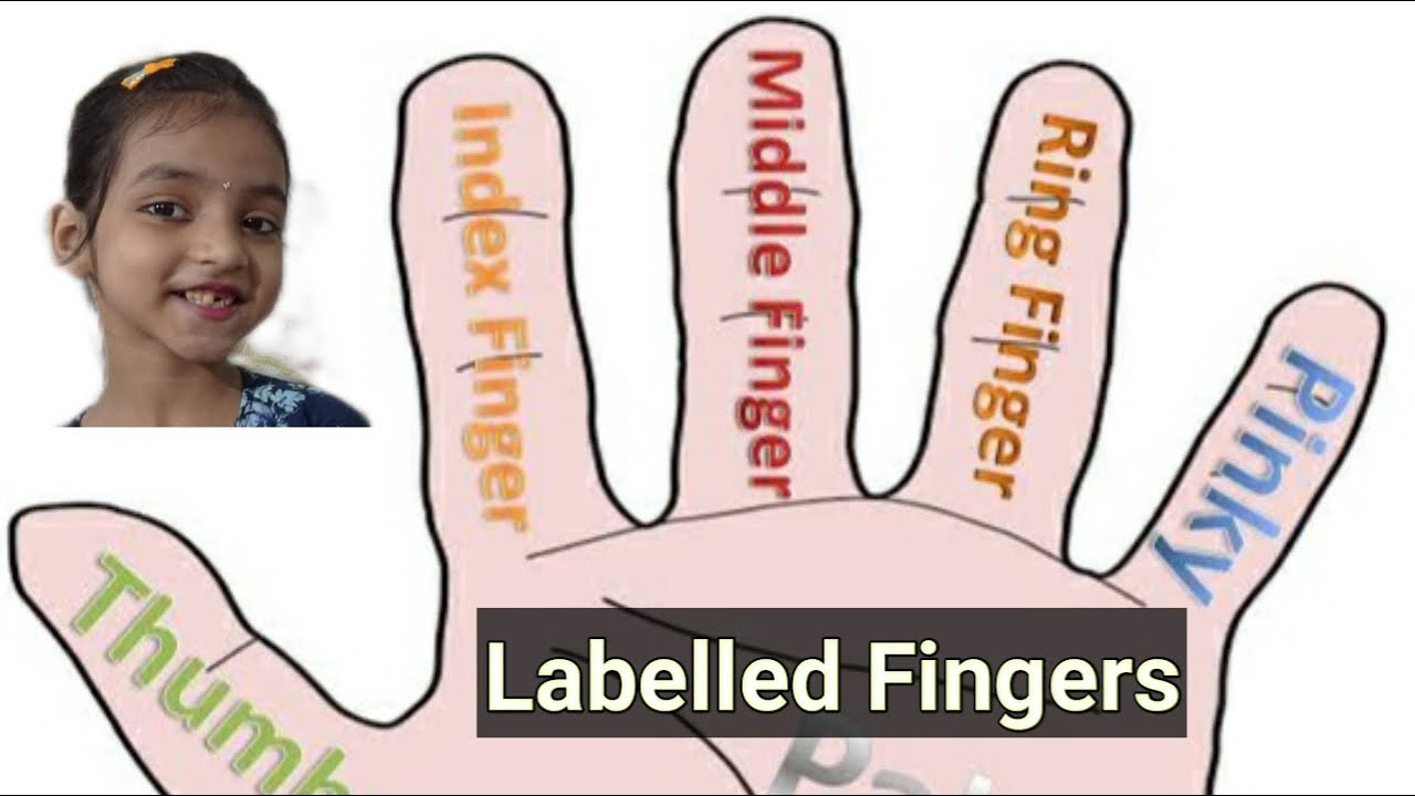 Labelled Fingers - YouTube