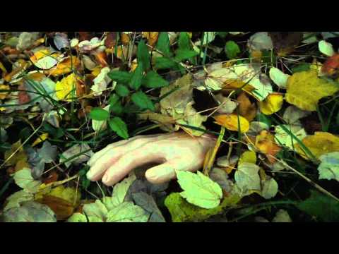 Bioengineered Soldiers - Reinventing Life Biommercial