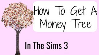 Sims 3 Tutorial ⎮ How to get a Money Tree
