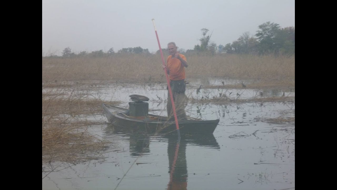 "rail bird hunting with Garden & Gun writer Ben Moise & Joe Guide ...