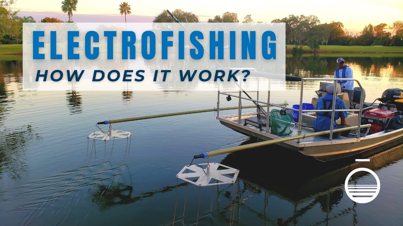 Electrofishing: How Does it Work? - YouTube
