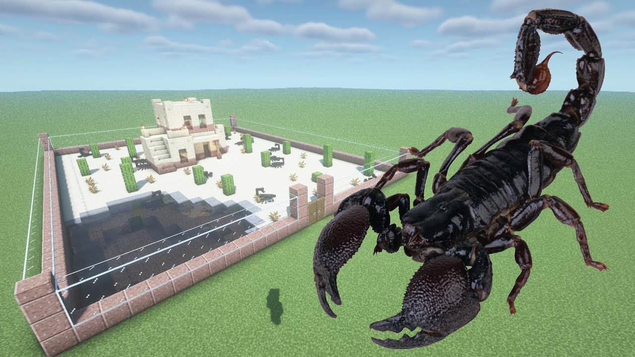 How To Make a Scorpion Farm in Minecraft PE - YouTube