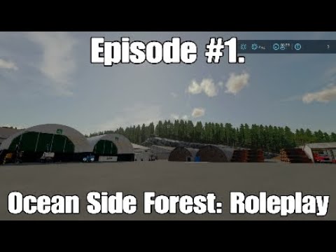 Ocean Side Forest: RP: Episode #1. Starting With $1.5 Million & No ...
