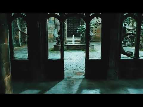 Pov: Y/N Shifting'i başarıp Hogwarts'a gelmiştir ama tahmin etmediği şeyler olur... Part 1