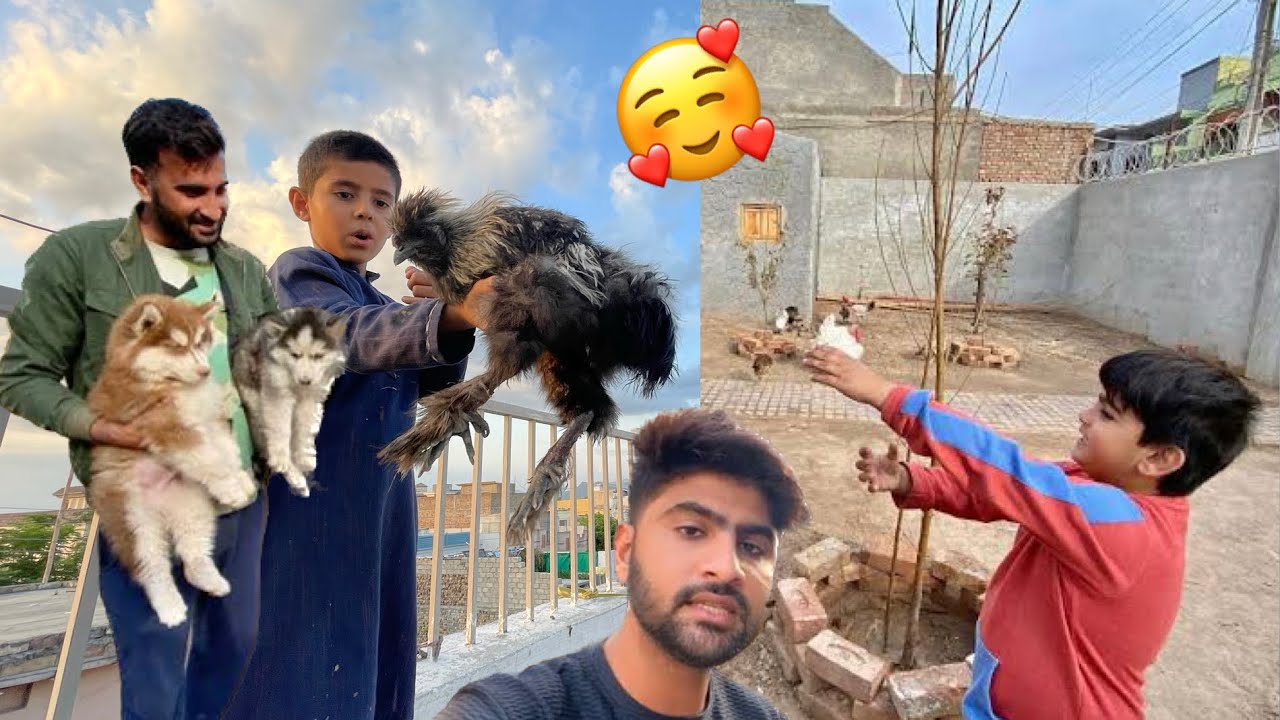 New surprise gift for Shehr main dehat ️ - YouTube