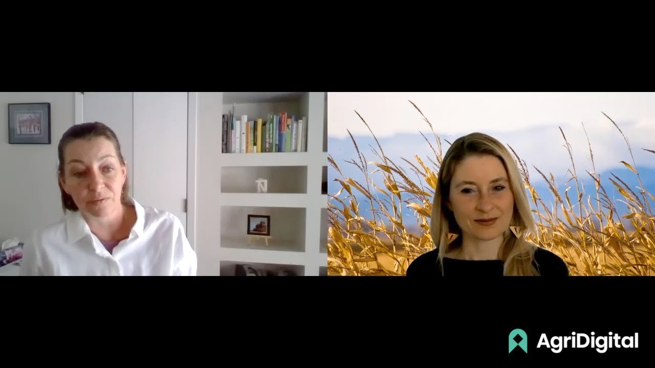 Stories from the Field: A conversation with Brenda Tjaden - YouTube