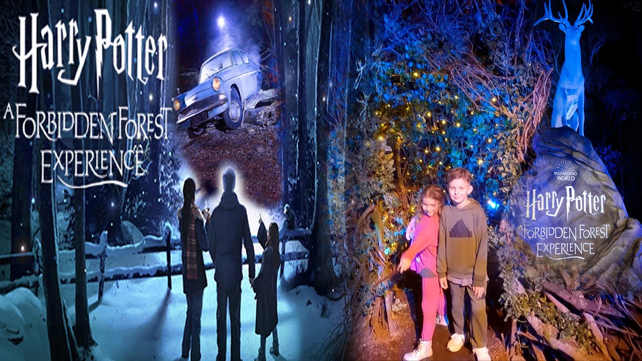 Harry Potter: A Forbidden Forest Experience - YouTube