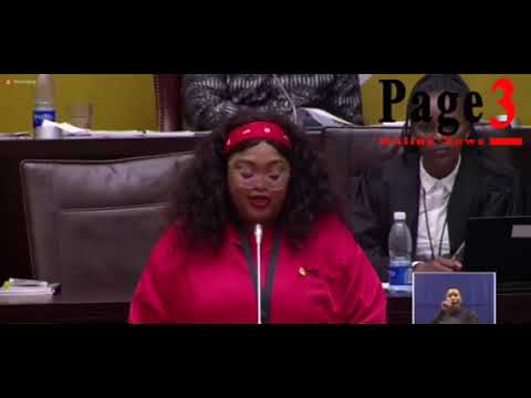 "ANC has destroyed everything they have touched" Wouter Wessels - YouTube