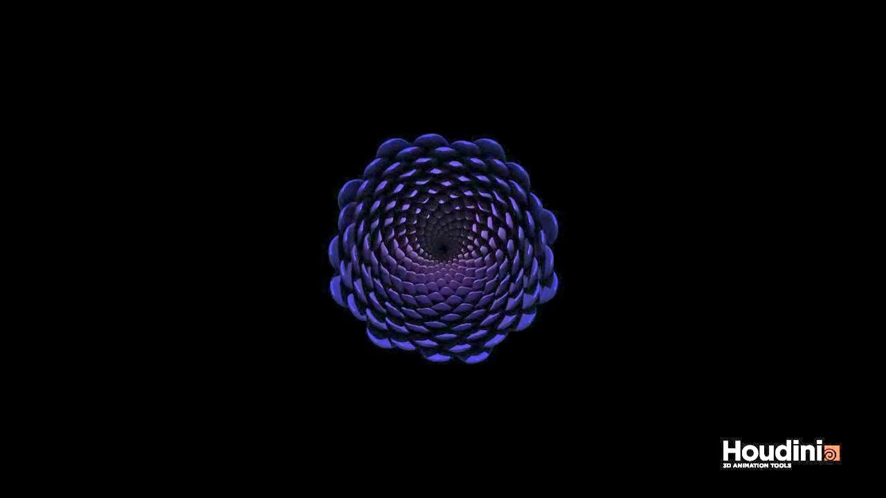 Blooming Lotus (Phyllotactic Pattern in Houdini) - YouTube