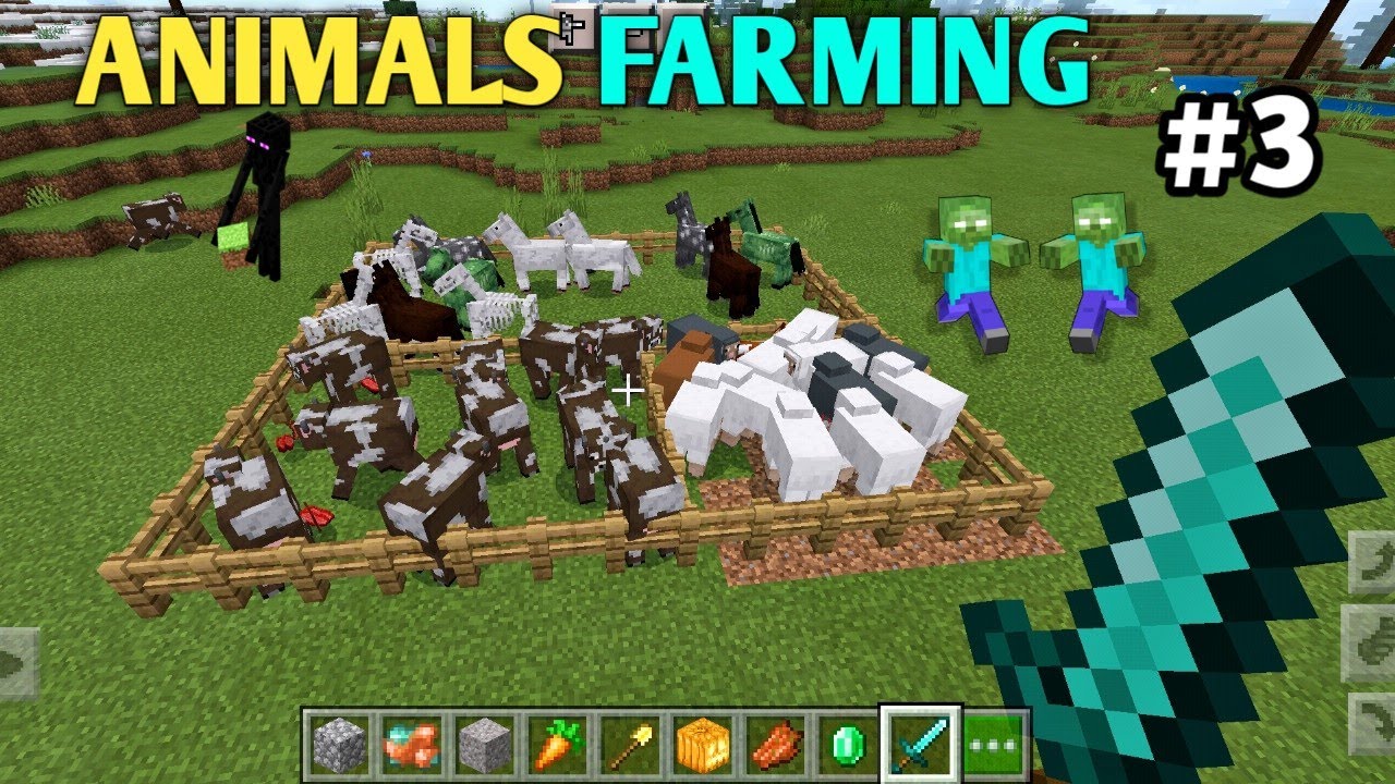 Minecraft | I Started Animals Farming In Minecraft | Minecraft Gameplay ...