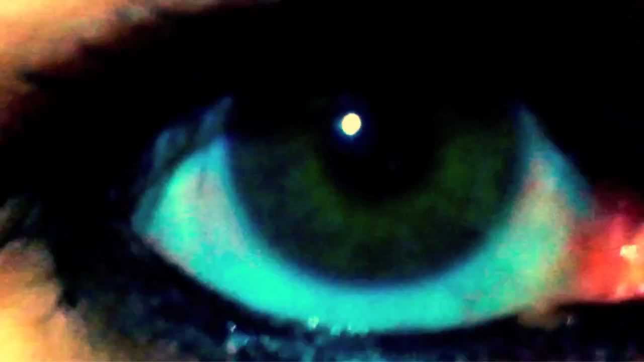 Muse _ Animals _ Unofficial Fan-made Video - YouTube
