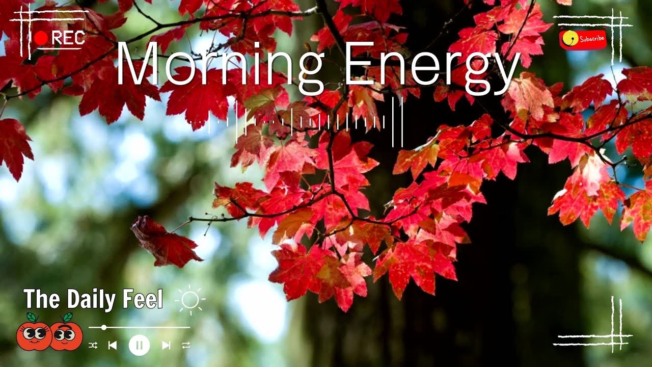 Morning Energy - Chill morning songs to start your day ~ Good Vibes ...