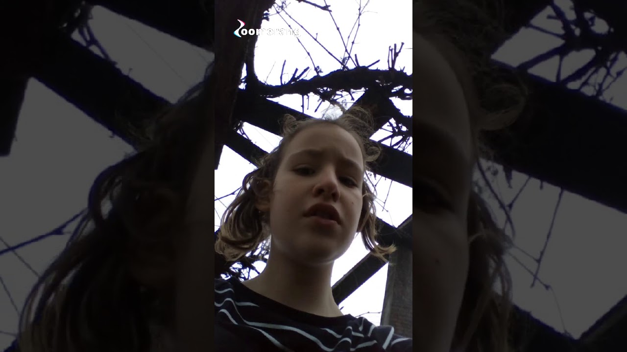 Tik tok Ana gole - YouTube