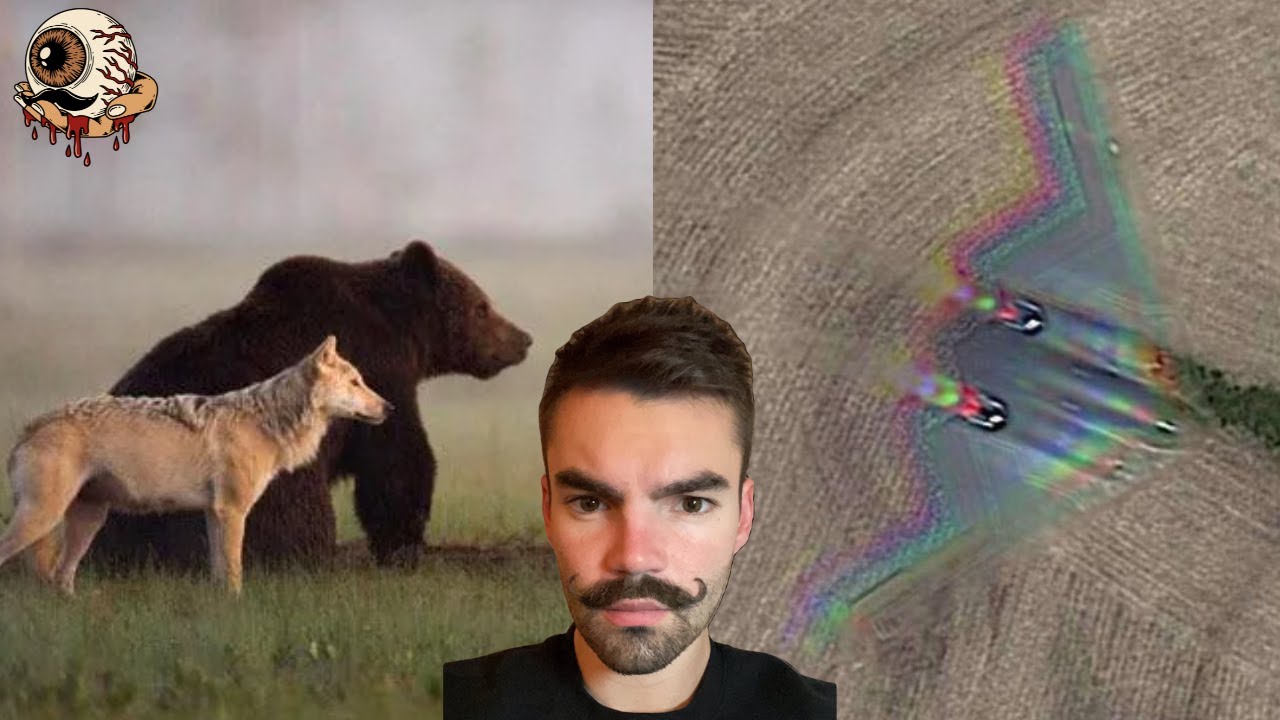 RAREST PICTURES Ever Taken - YouTube