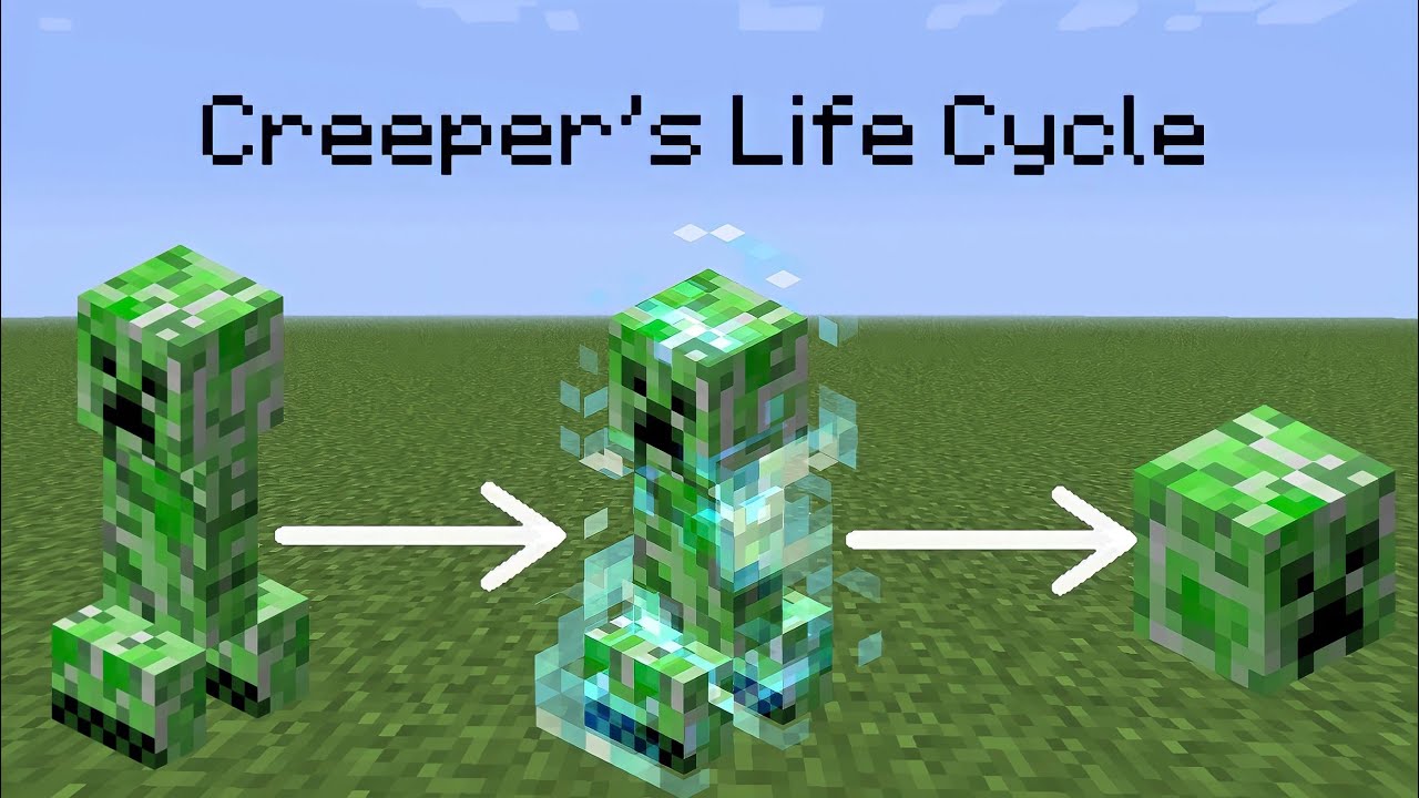 The Life Cycle Of A Minecraft Creeper - YouTube