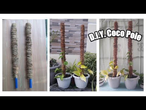 How to Make Coco Pole // D.I.Y. Coco Pole - YouTube