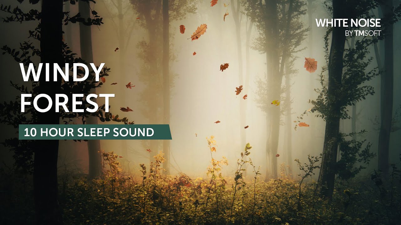 Windy Forest - 10 Hours Sleep Sound - Black Screen - YouTube