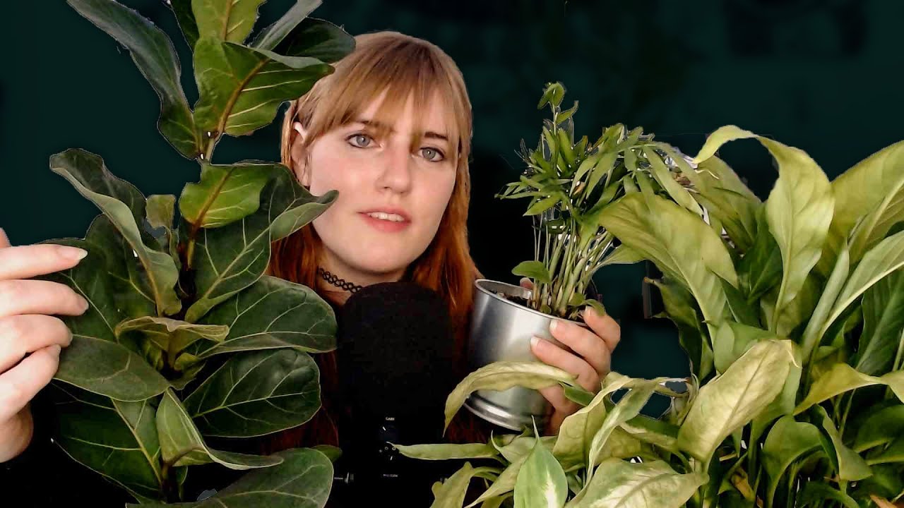 ASMR ♡ Tingly Sounds with my Plants 🌱 - YouTube