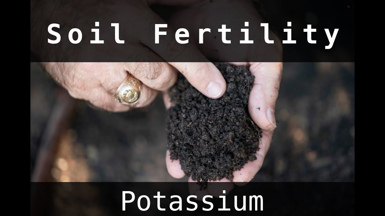 Soil Fertility: The Mineral Potassium - YouTube