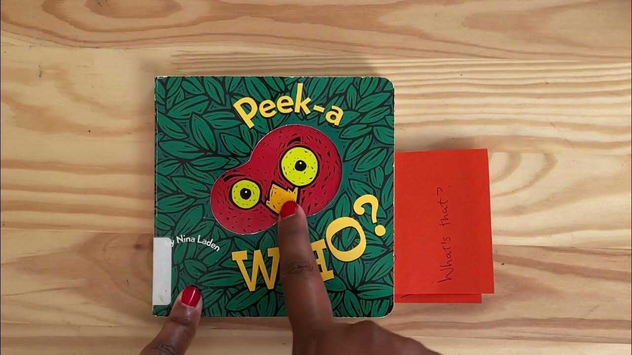 How to Use Wordless Picture Books - Infants & Young Toddlers - YouTube