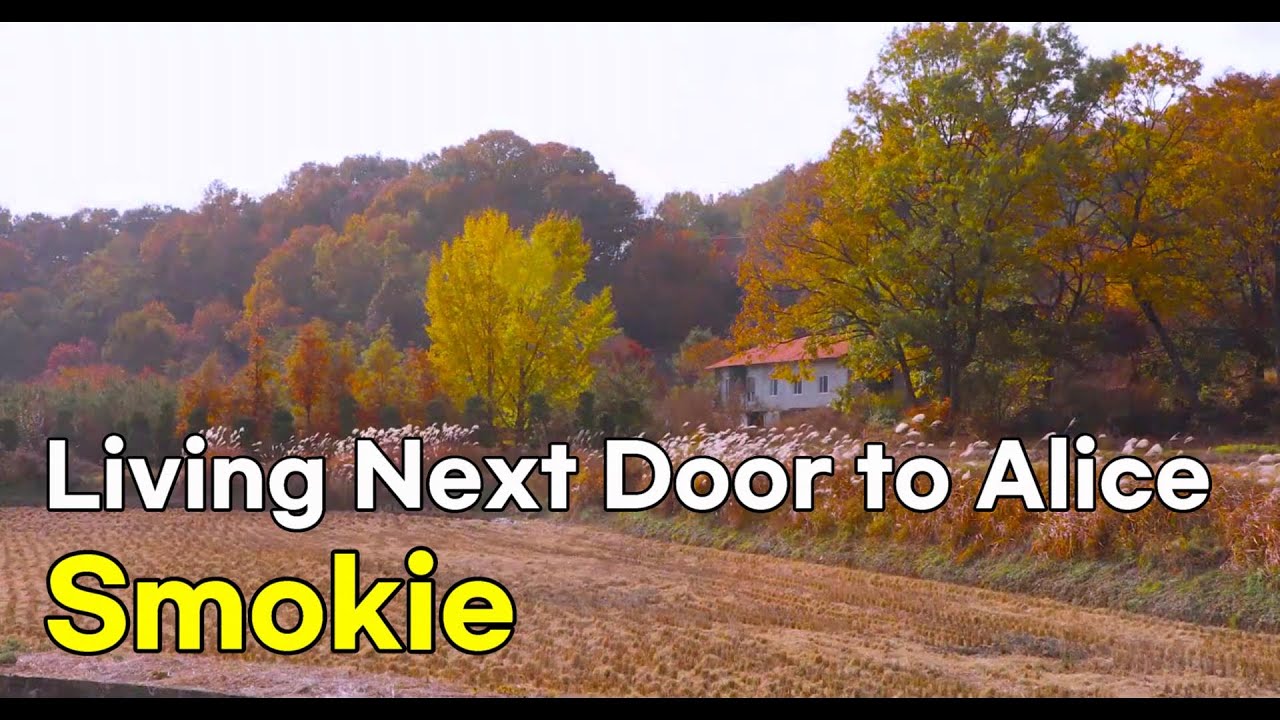 Smokie - Living Next Door to Alice (lyrics 번역가사) - YouTube