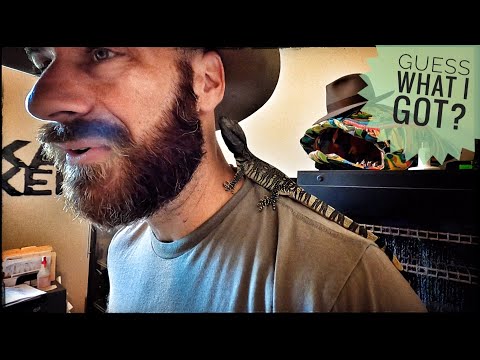 I Got a NEW Monitor Lizard!