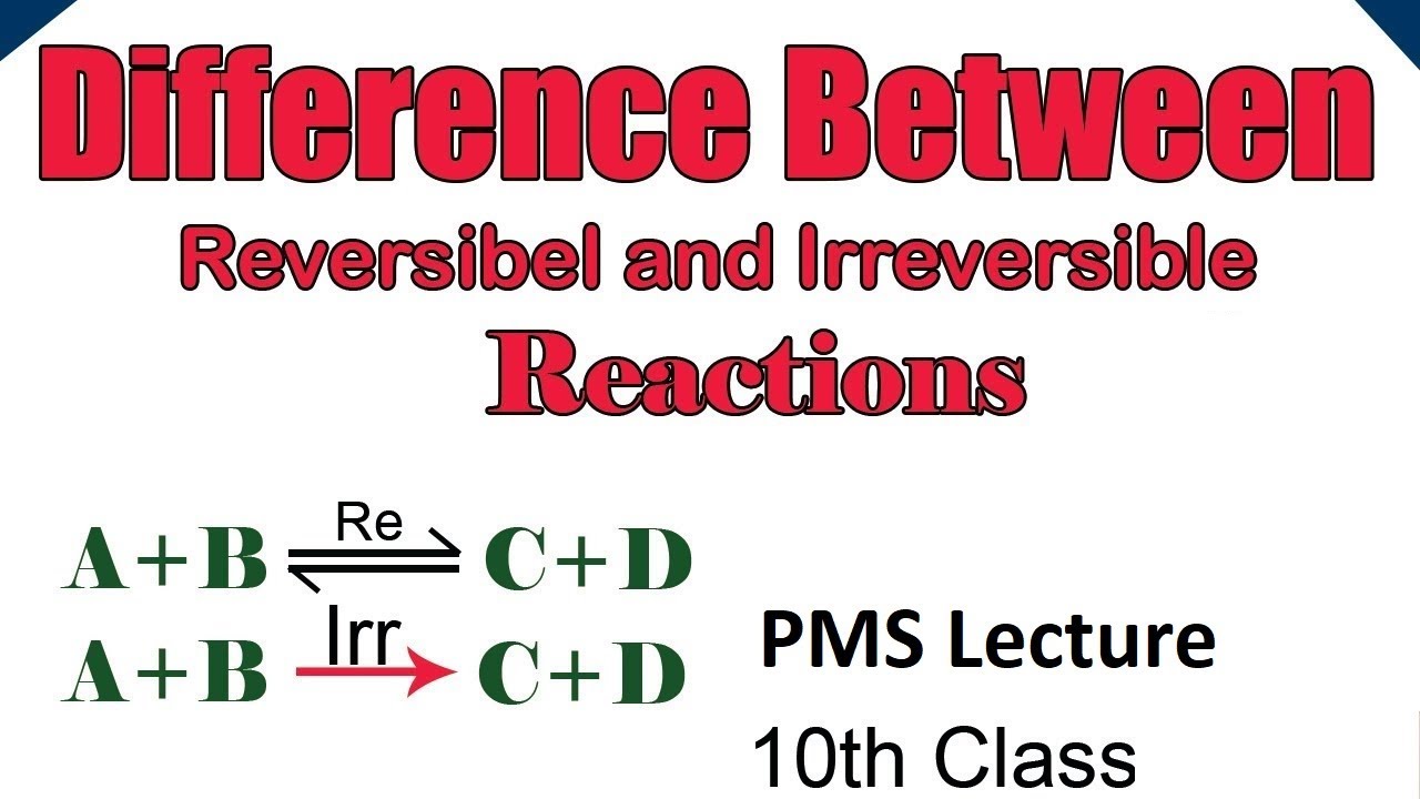 Reversible Reaction And Dynamic Equilibrium Chemistry10 Lecture1 Unit 9
