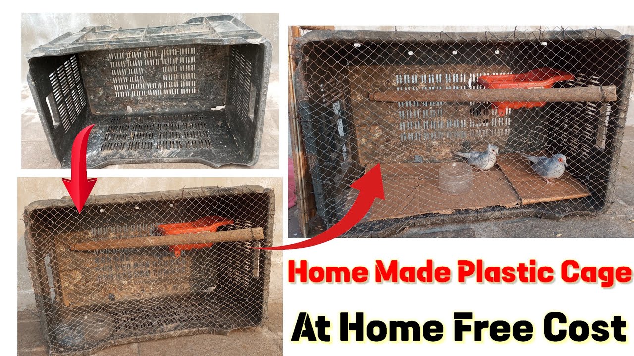 Make easy cage free of cost at homefor birds | how to make cage at ...