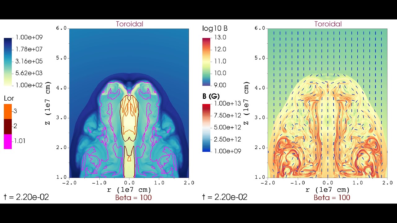 Relativistic jet simulation evolving through a media with B poloidal ...