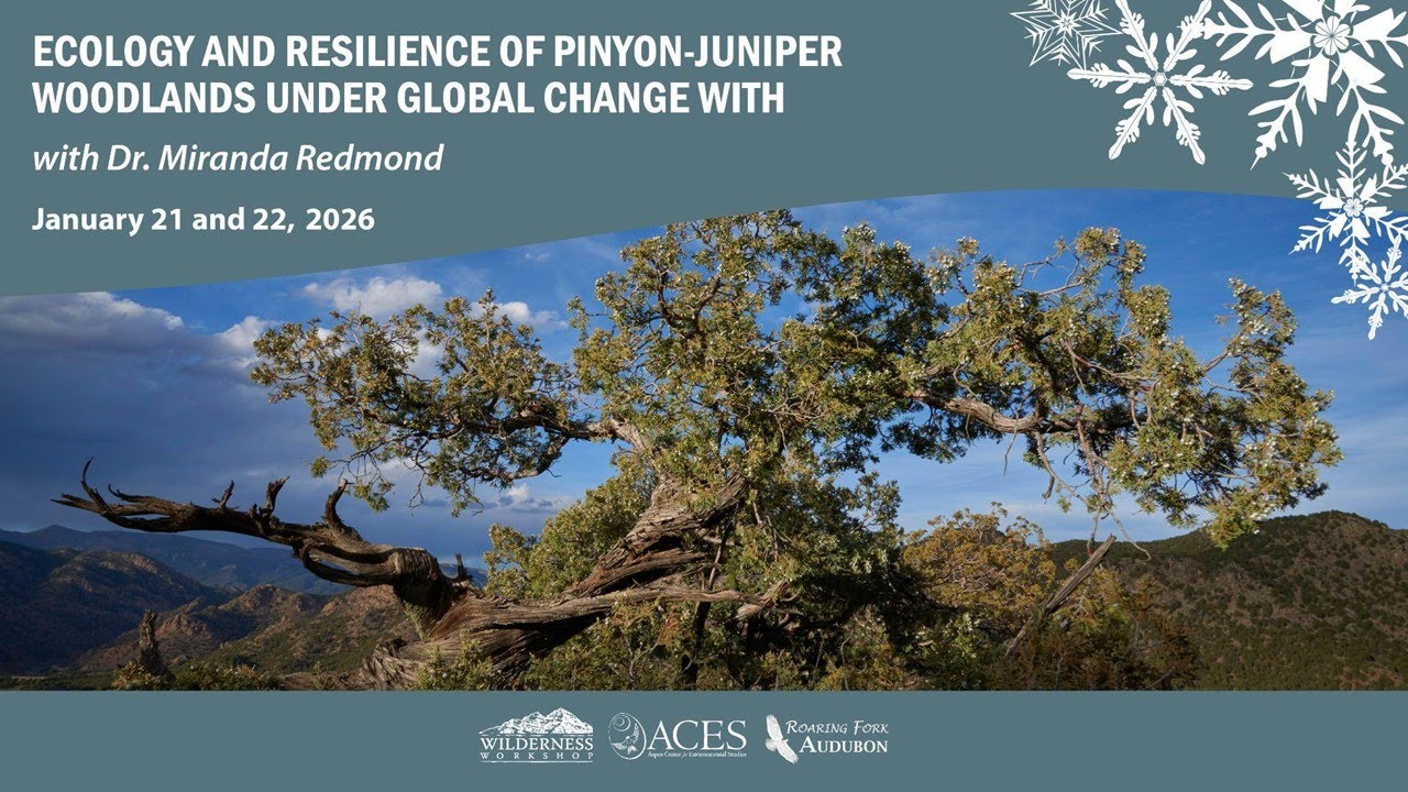 Ecology and Resilience of Pinyon-Juniper Woodlands under Global Change ...