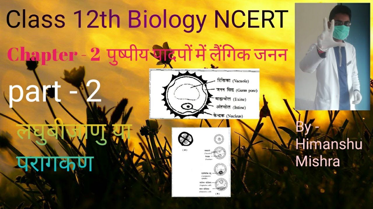 Class 12th #Biology #NCERT || Chapter - 2 || पुष्पीय पादपों में लैंगिक ...