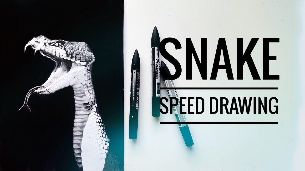 SPEED DRAWING | Snake - YouTube
