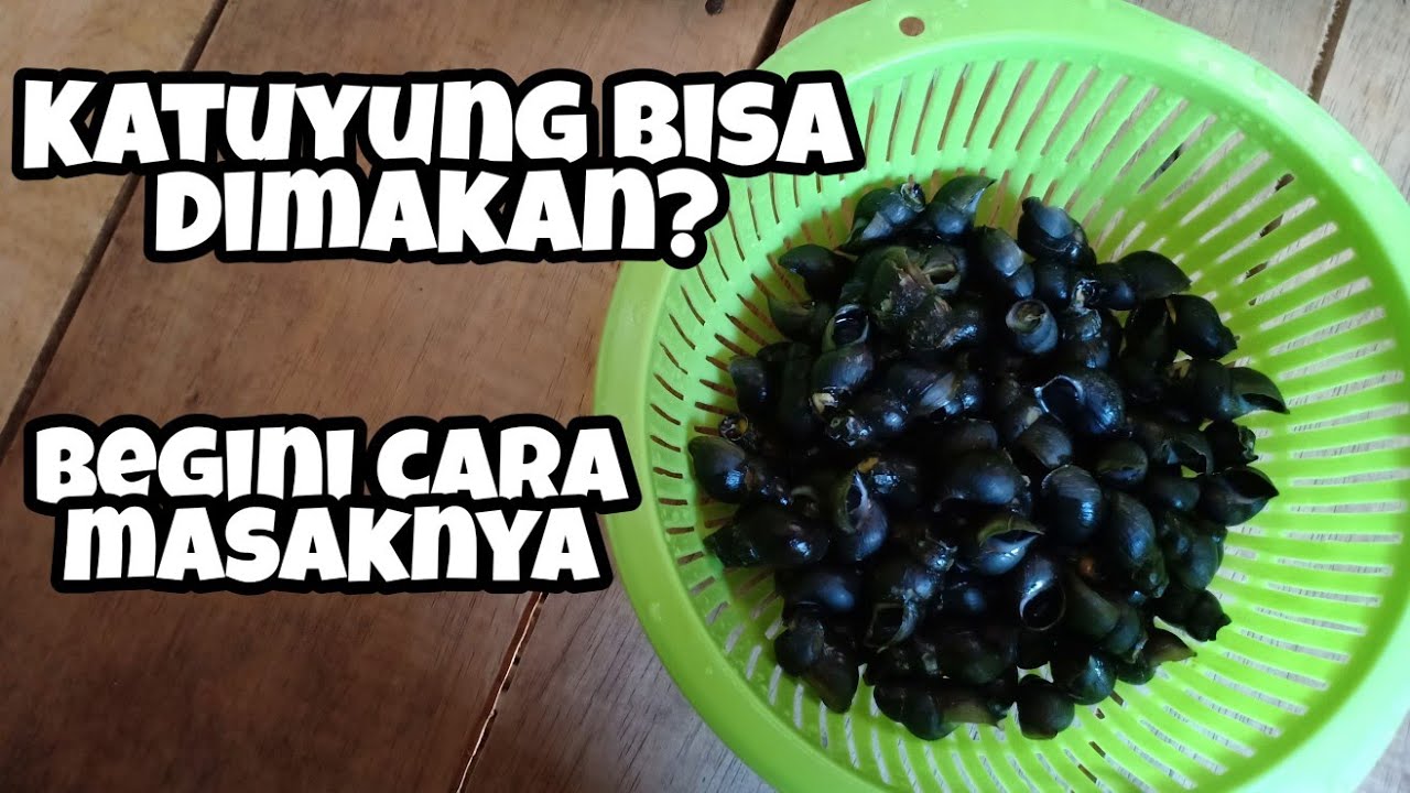 Tutorial memasak katuyung - YouTube