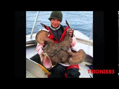 animales extraños monkfish peces monstruosos del mar y criaturas ...