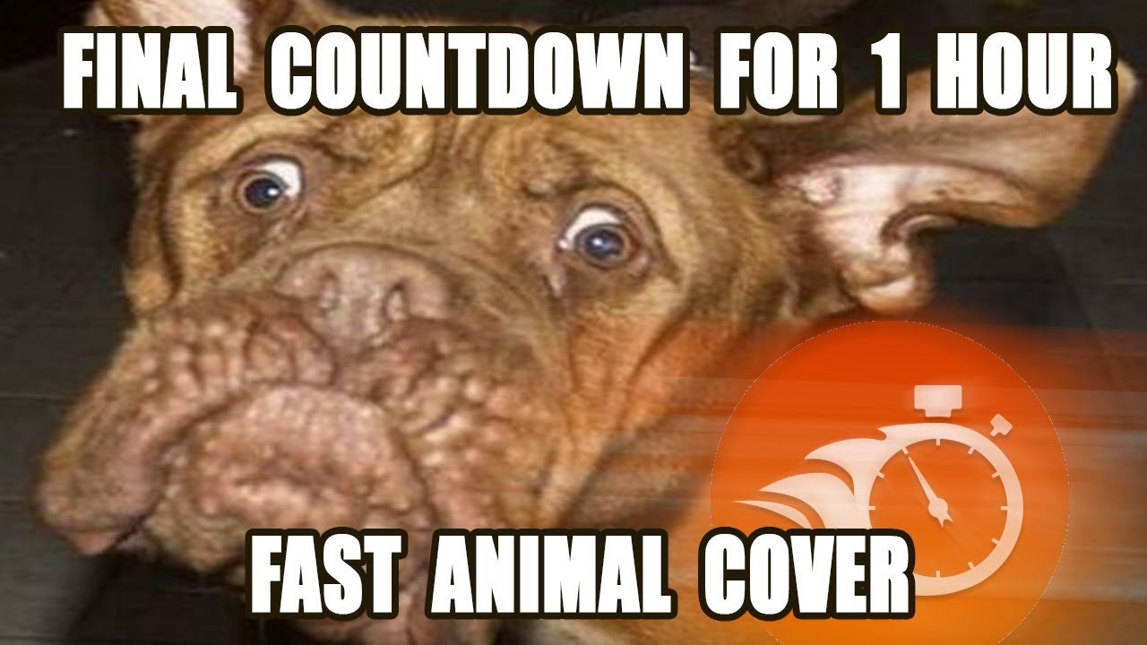 Final Countdown Memes It's The Final Countdown GIFs | GIFDB.com