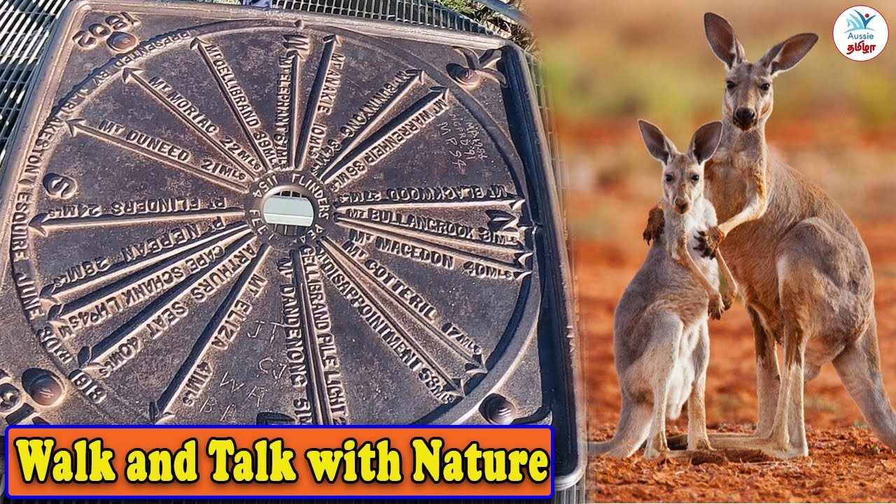 Walk And Talk With Nature | You Yangs Regional Park | 8km loop ...