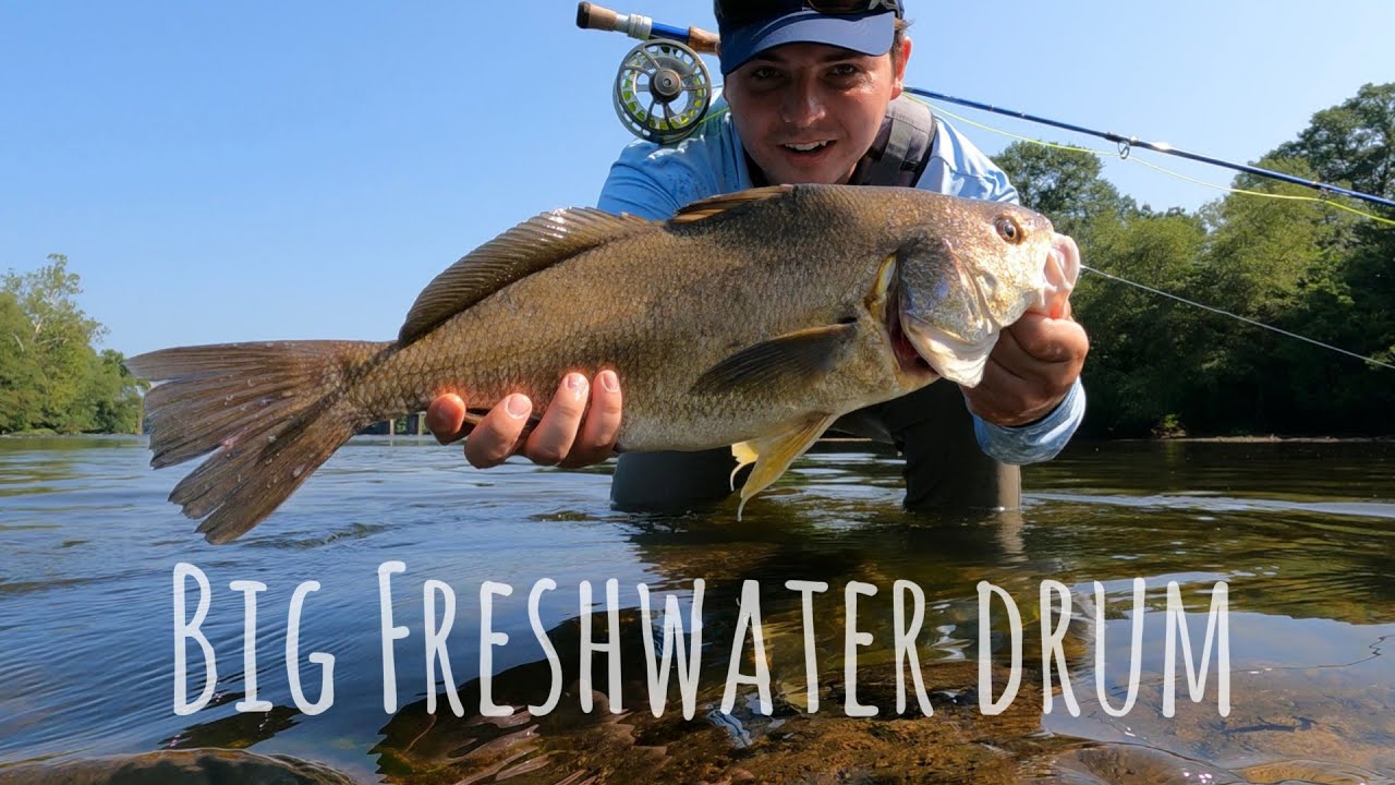 Fly Fishing for BIG FISH! - YouTube