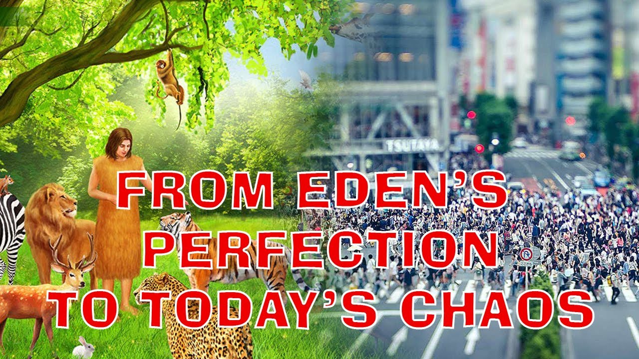 FROM EDEN'S PERFECTION TO TODAY'S CHAOS - YouTube