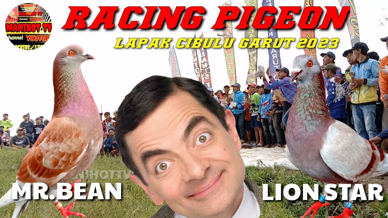 MR BEAN X LION STAR FINAL MERPATI BALAP GARUT 2023 - YouTube