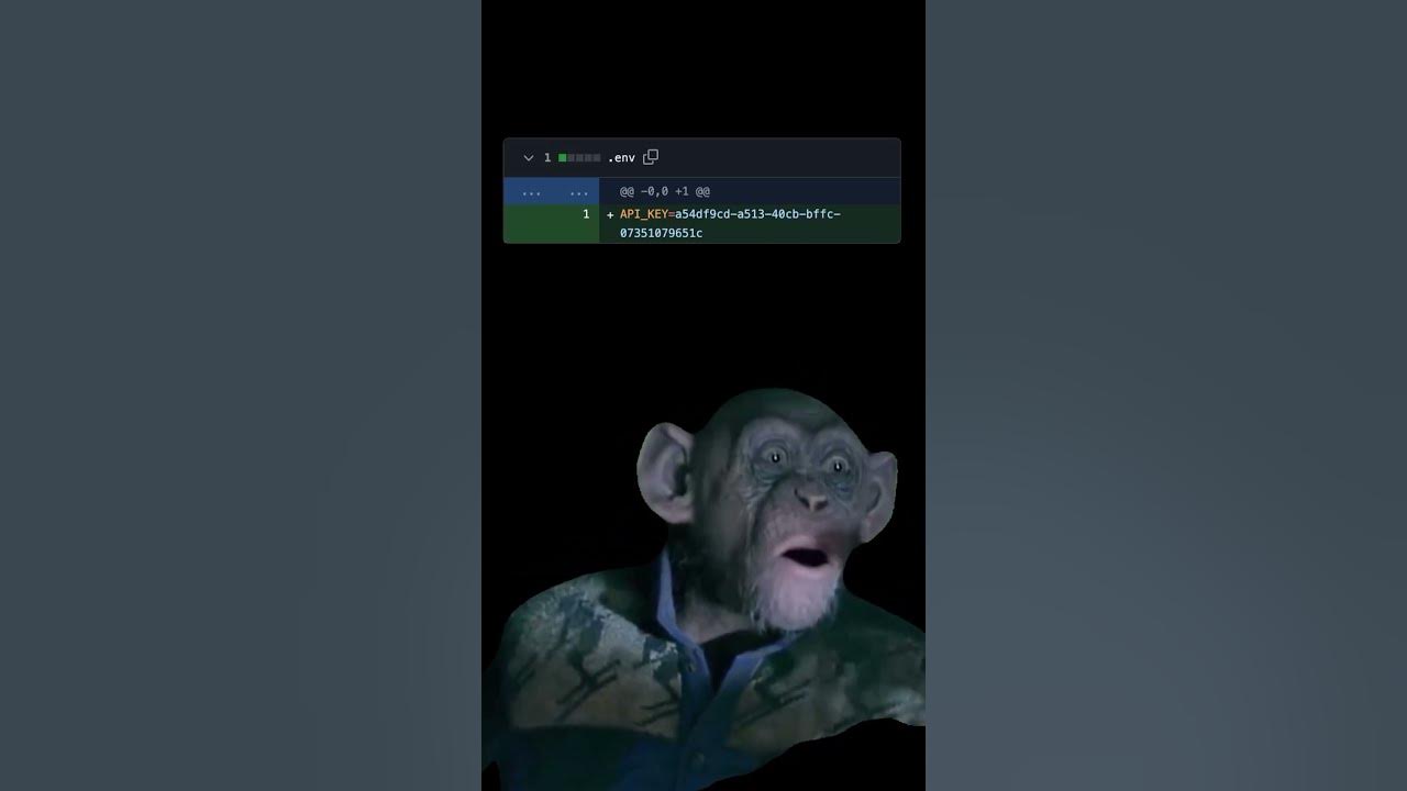 Our Api Key Developer Dev Programmer Programming Git Github 개발자 개발 밈 깃허브 깃 Youtube