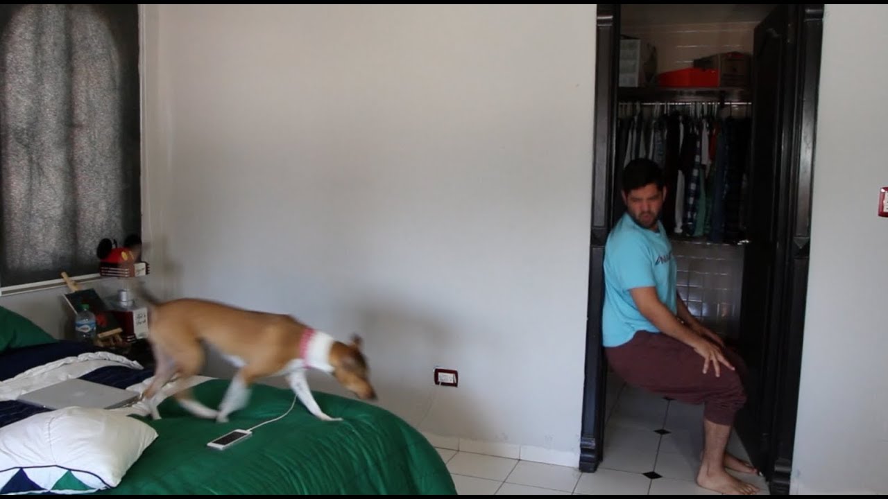 Bailando Tubo Youtube
