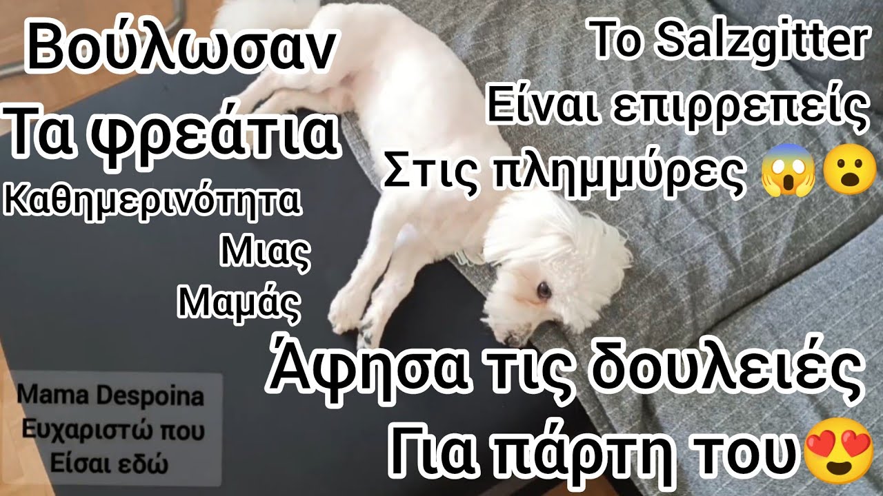#vlog άφησατιςδουλειέςγια πάρτη του#βούλωσαν τα#φρεάτια#καθημερινότητα# ...